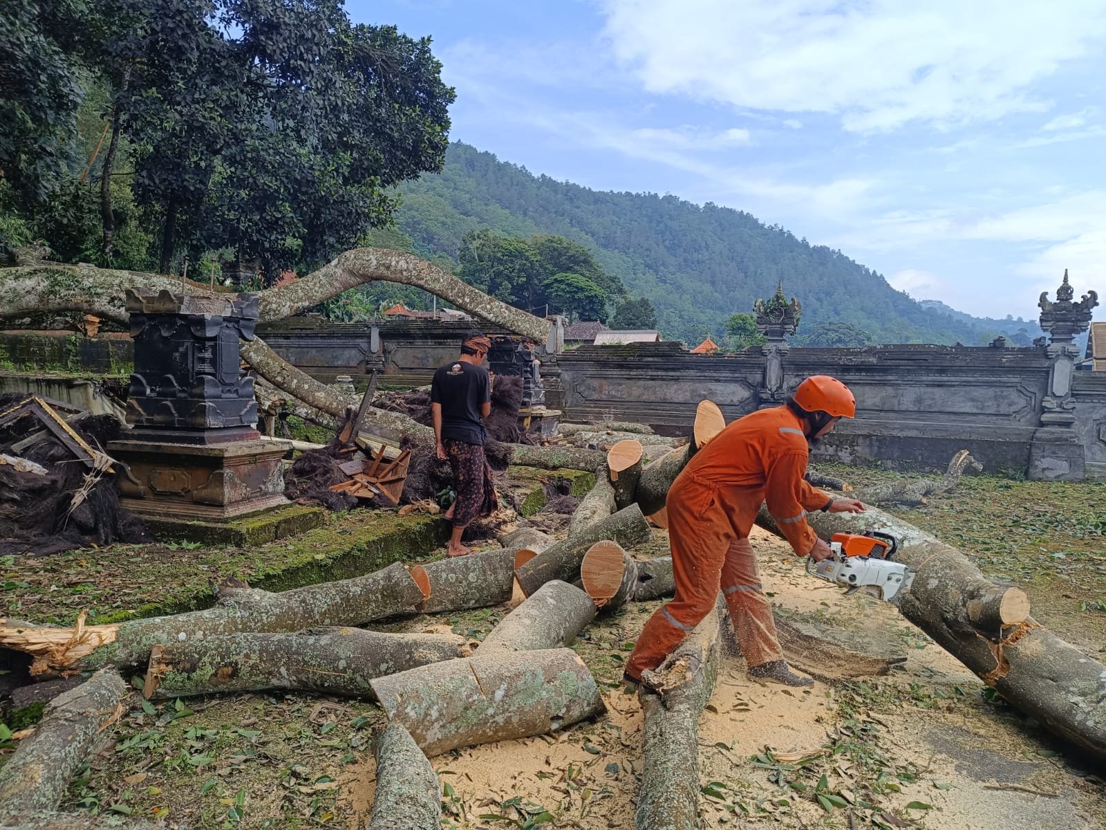 Pohon Tumbang Timpa 4 Palinggih di Pura Danu Kuning Bangli, Kerugian ...